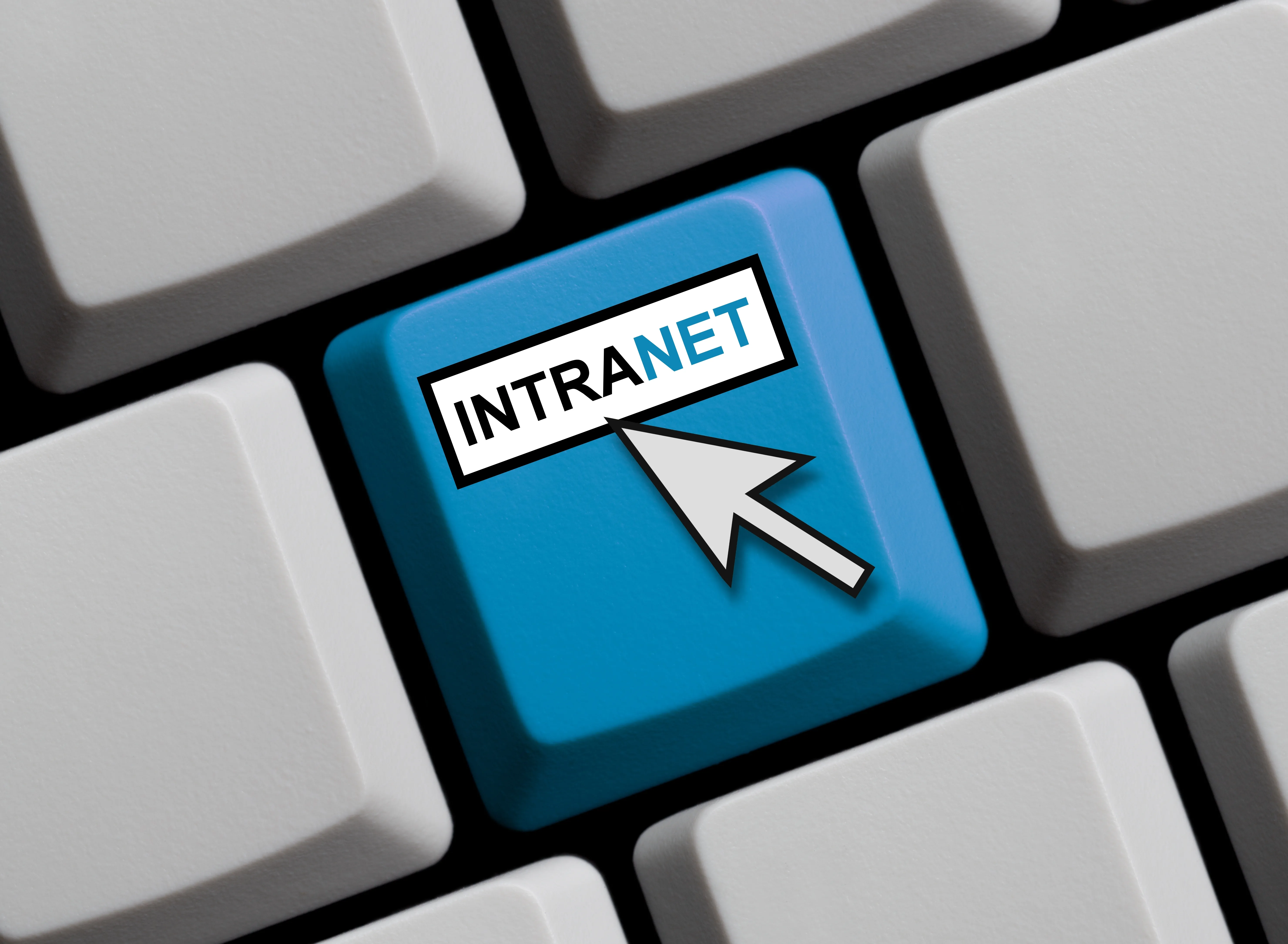 8 best open source intranet software for 2024